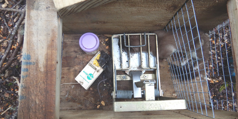 The Cass Valley – New Zealand Conservation Trust