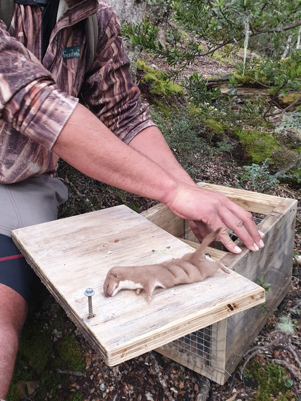 The Cass Valley – New Zealand Conservation Trust